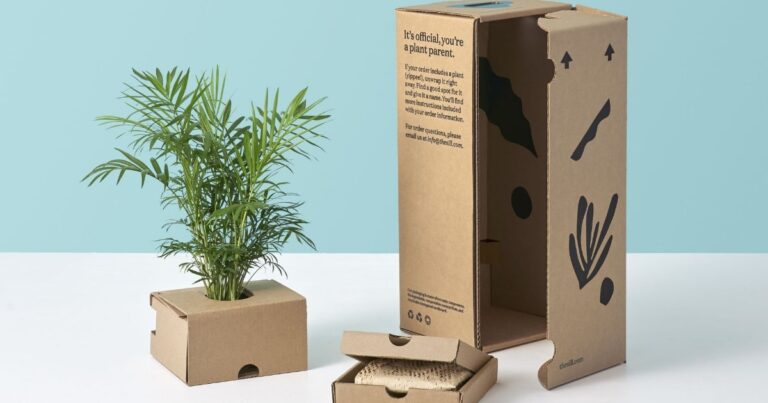 20+ Creative Food Packaging Ideas for Your Restaurant - Foodiv